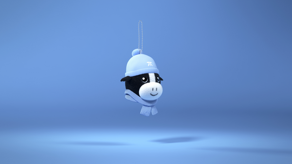 Fnatic Shop – Fnatic Winter Box 2024 - Hanging Ornament